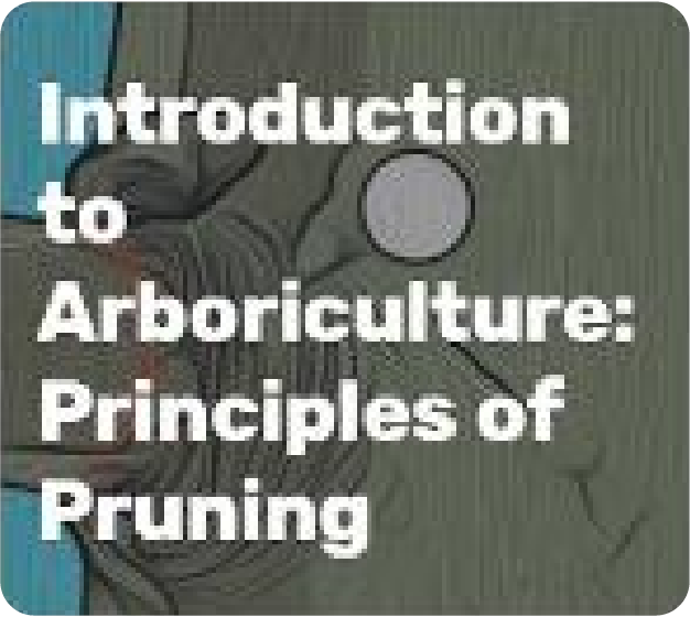 Introduction to Arboriculture - Principles of Pruning | ISA Prod